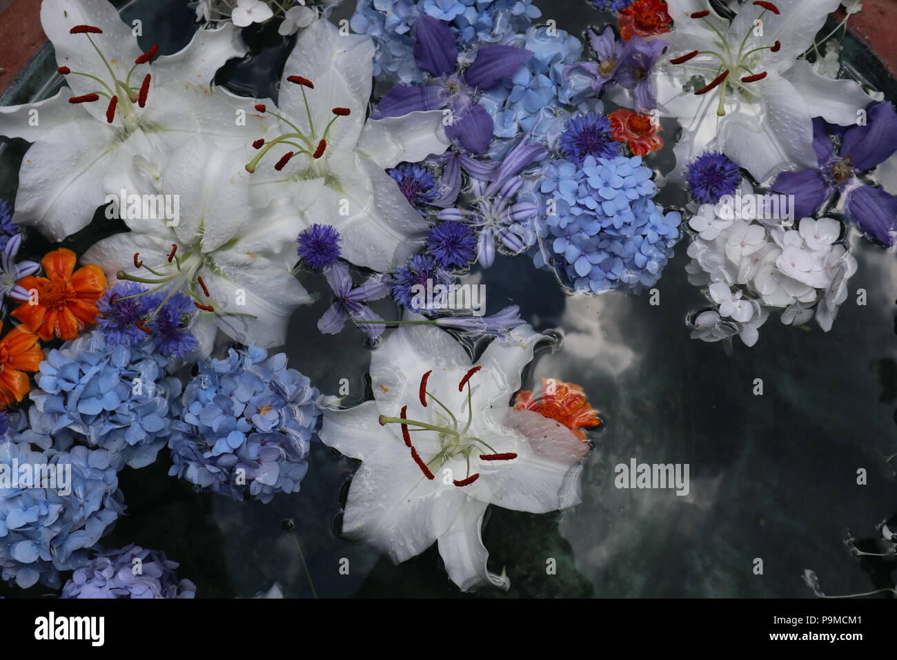 Floating arrangement hi-res stock photography and images - Alamy