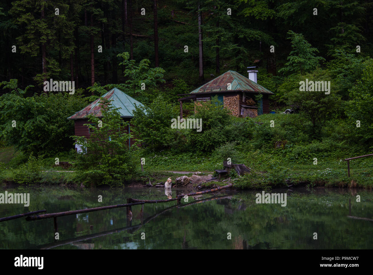 Cabin in the alps hi-res stock photography and images - Alamy