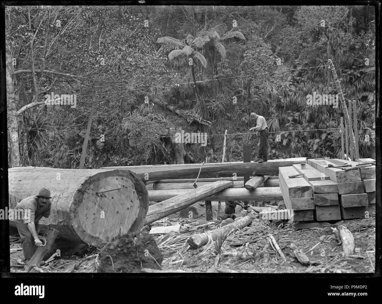 Pit sawing Black and White Stock Photos & Images - Alamy