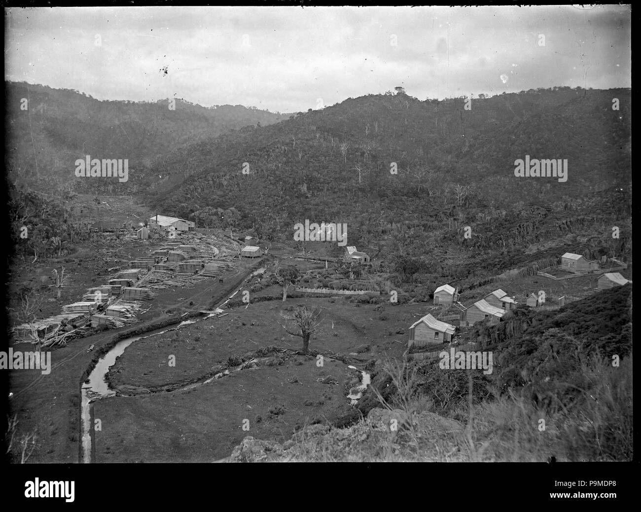Piha Black and White Stock Photos & Images - Alamy