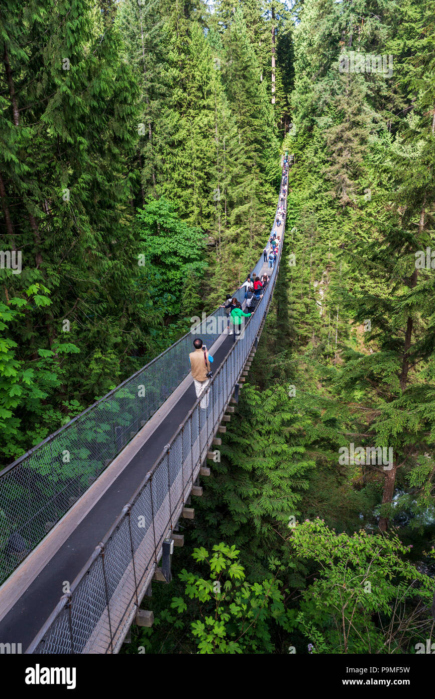 Capilano suspension bridge capilano river hi-res stock photography and ...