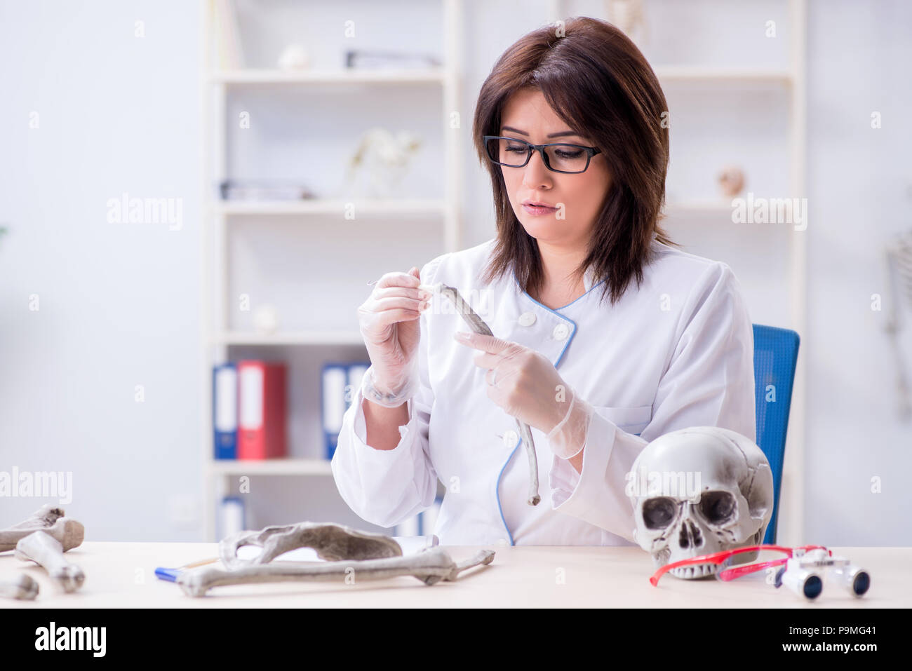 Doctor working in the lab on skeleton Stock Photo - Alamy