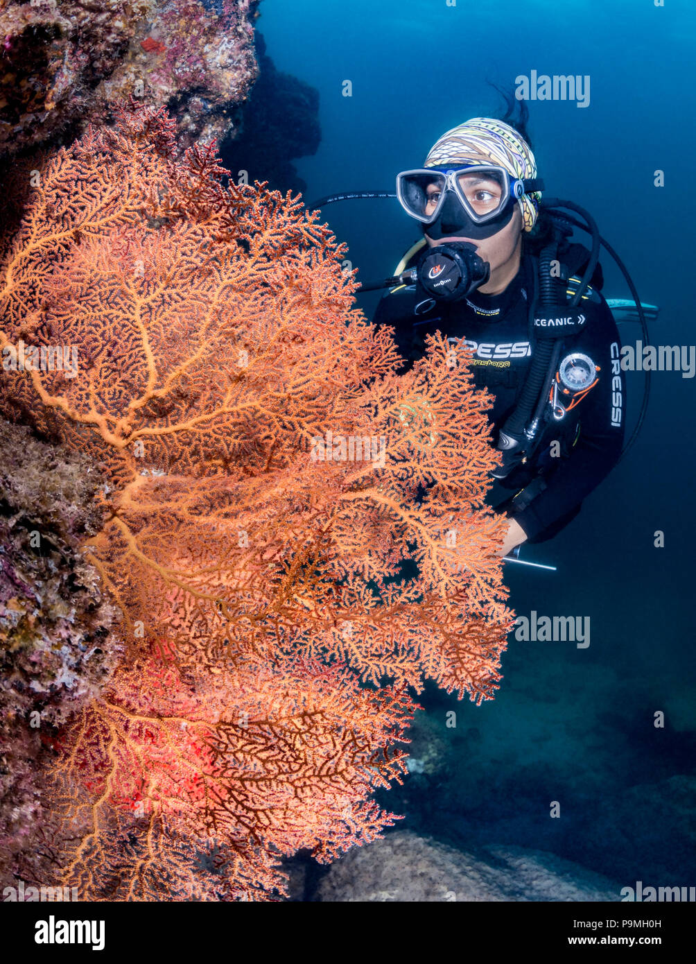 Scuba diving girl hi-res stock photography and images - Alamy