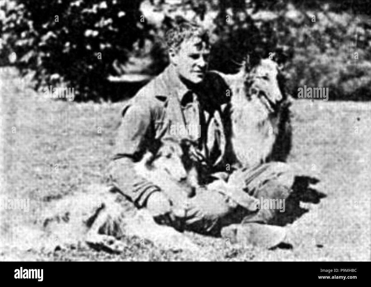 . Albert Payson Terhune, Novelist and Collie Fancier, and his Collies ...