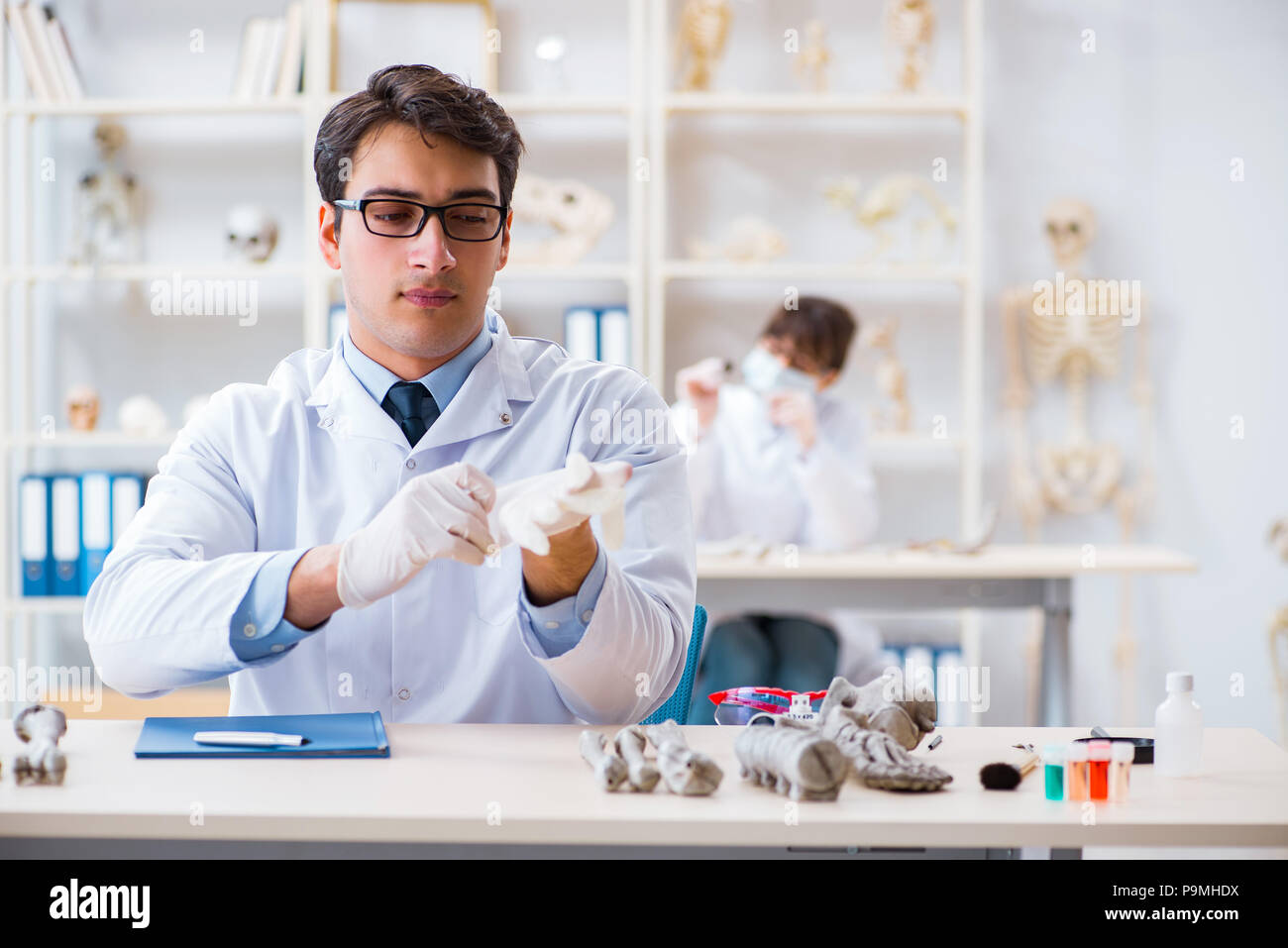 Professor studying human skeleton in lab Stock Photo - Alamy