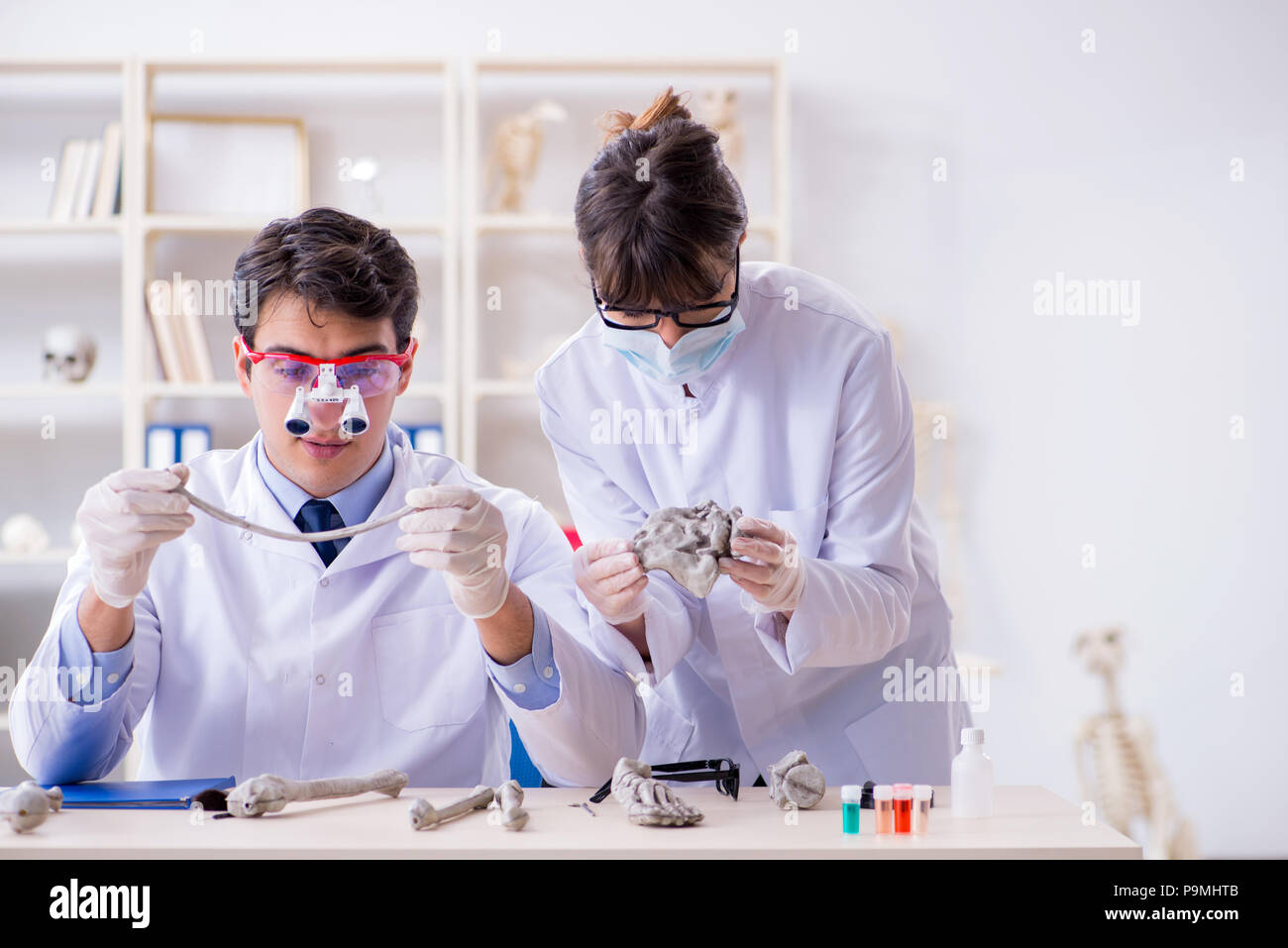 Professor studying human skeleton in lab Stock Photo - Alamy