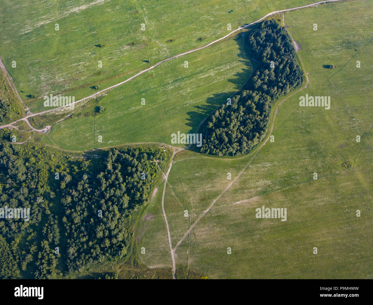 Helicopter drone shot. Aerial photography of green forest with road ...