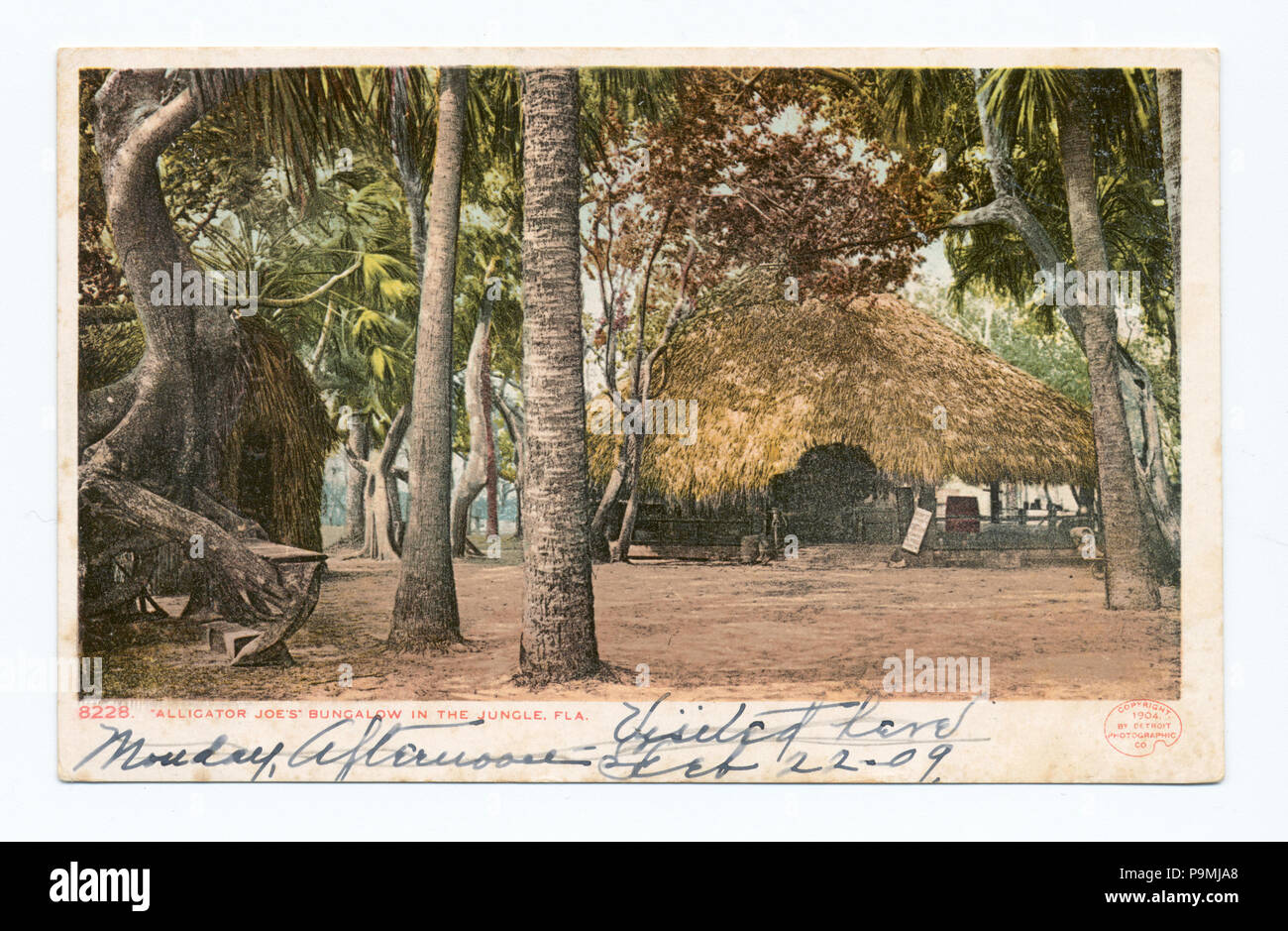 Alligator joes bungalow hi-res stock photography and images - Alamy