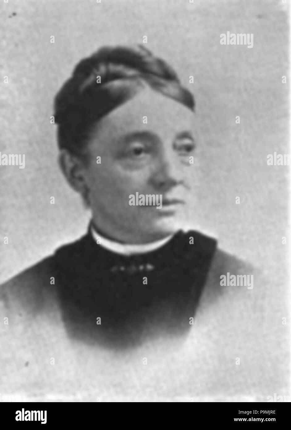 120 Amanda Deyo, A Woman of the Century, 1893 Stock Photo - Alamy