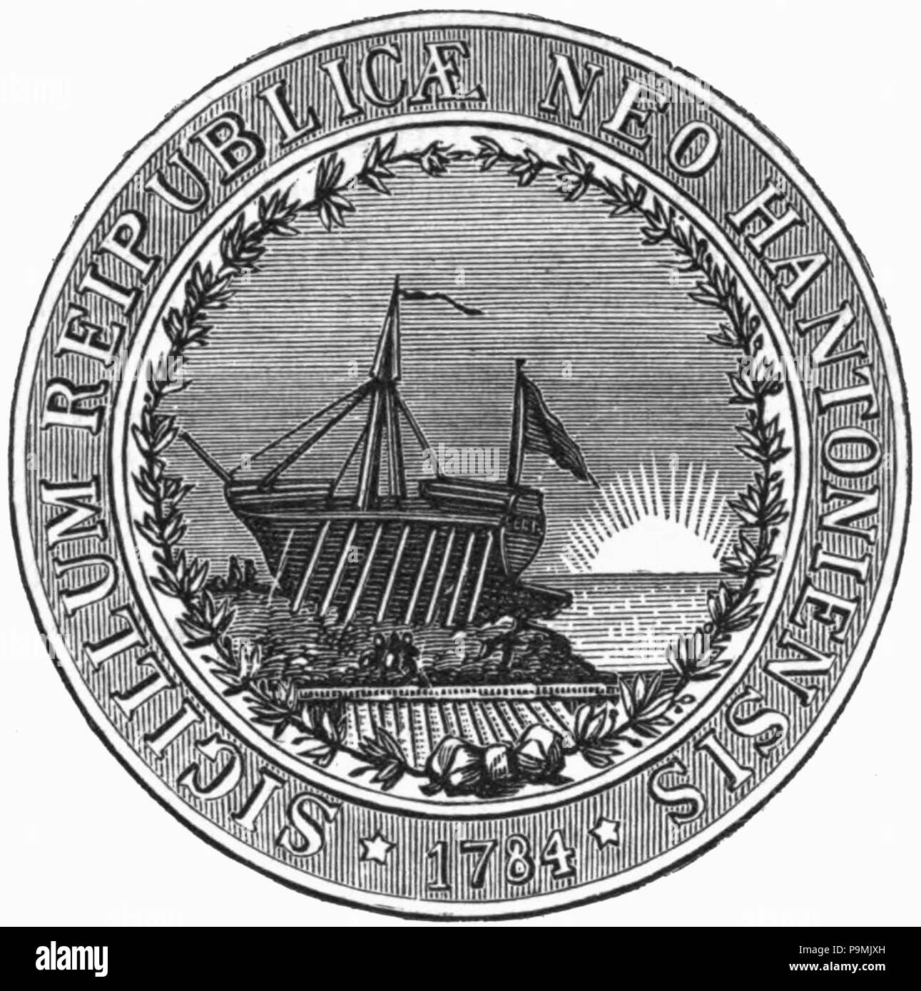 Hampshire Seal High Resolution Stock Photography and Images - Alamy