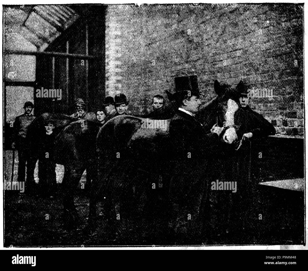 Animal hospital facilities hi-res stock photography and images - Alamy