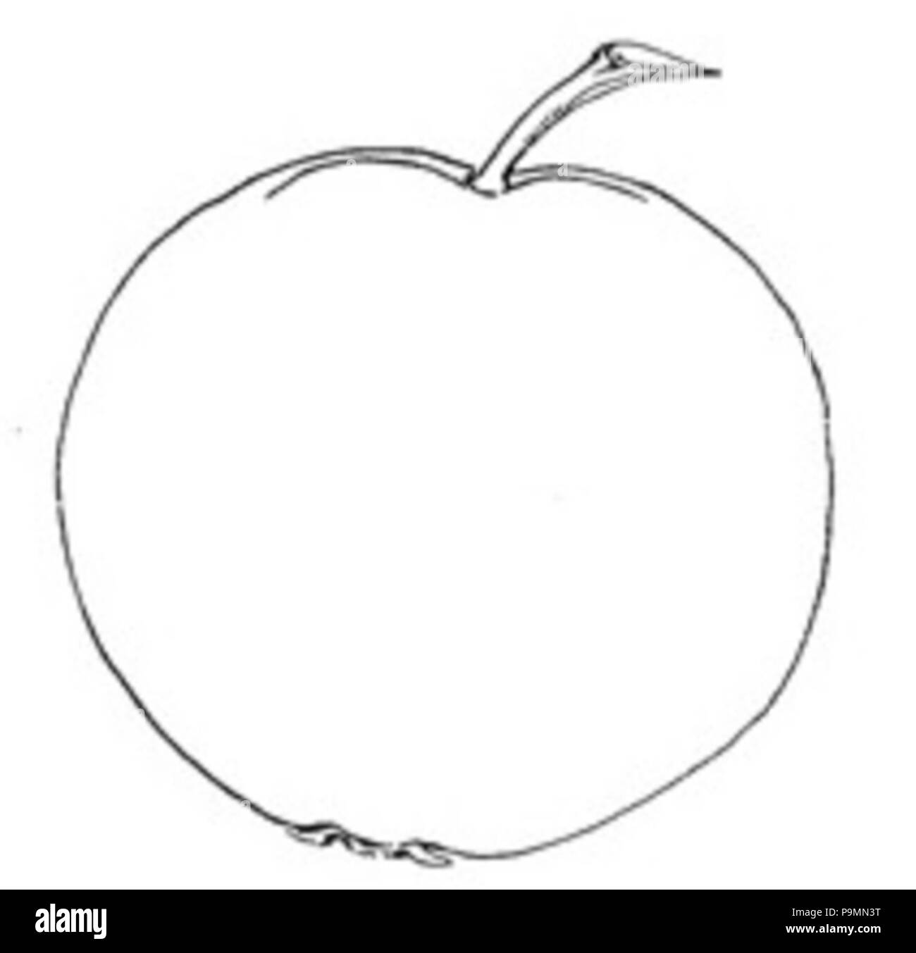 Study outline hi-res stock photography and images - Alamy