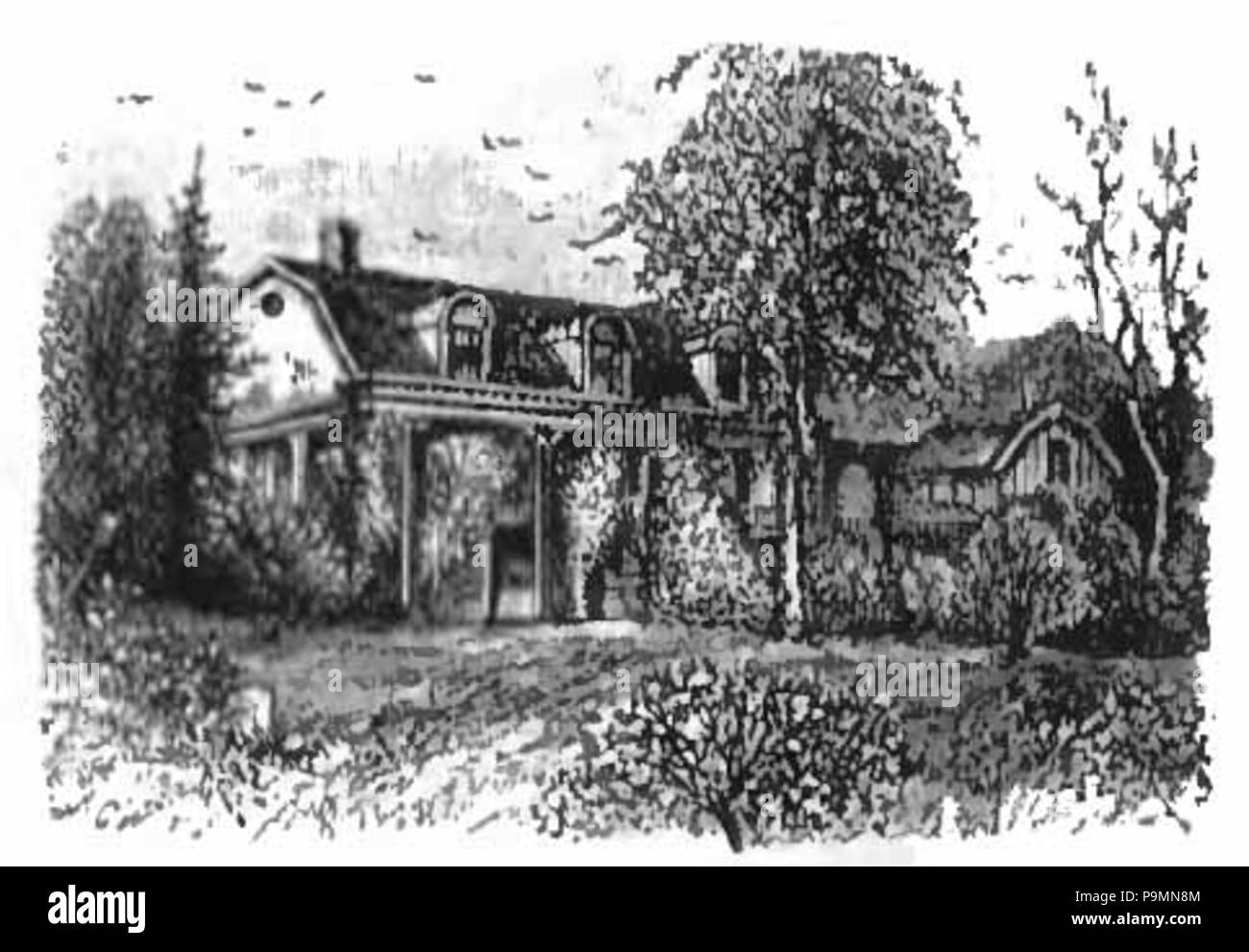 William Bryant Black and White Stock Photos & Images - Alamy