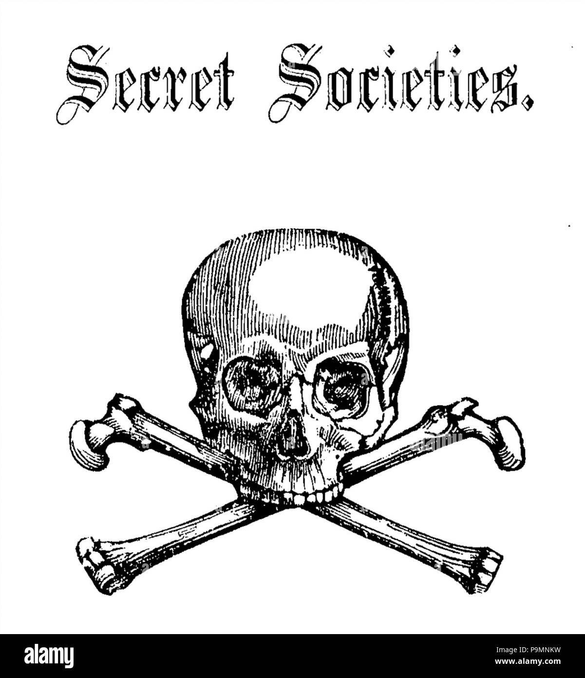 Skull studies Cut Out Stock Images & Pictures - Alamy