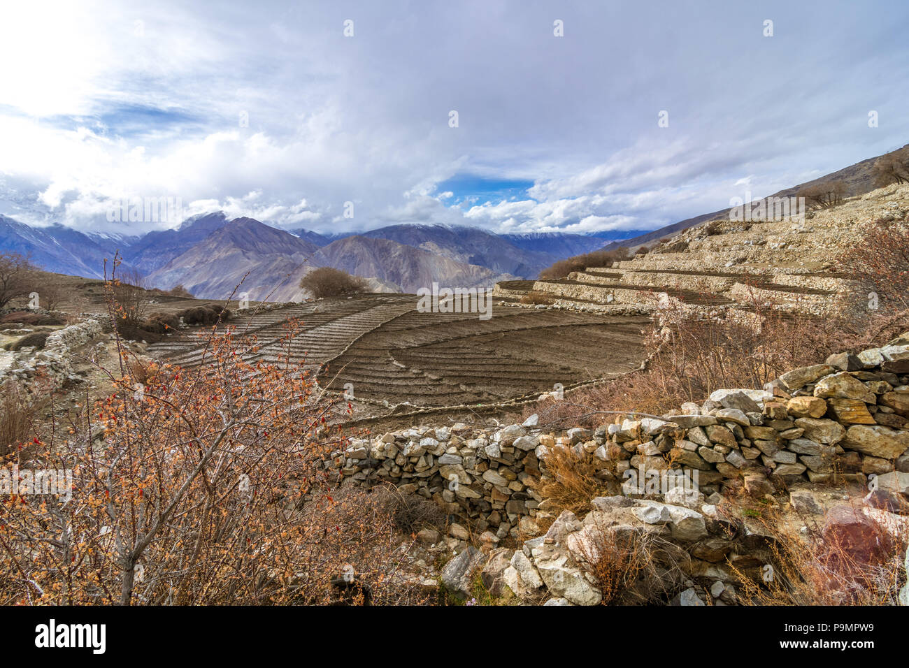 Nako Village, Kinnaur Valley Stock Photo - Alamy