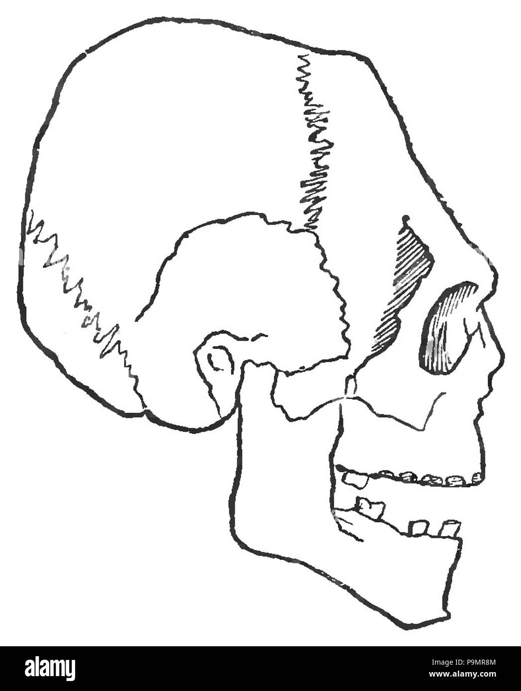 166 Atlantis - The Antediluvian World 1882 p270 Stock Photo - Alamy