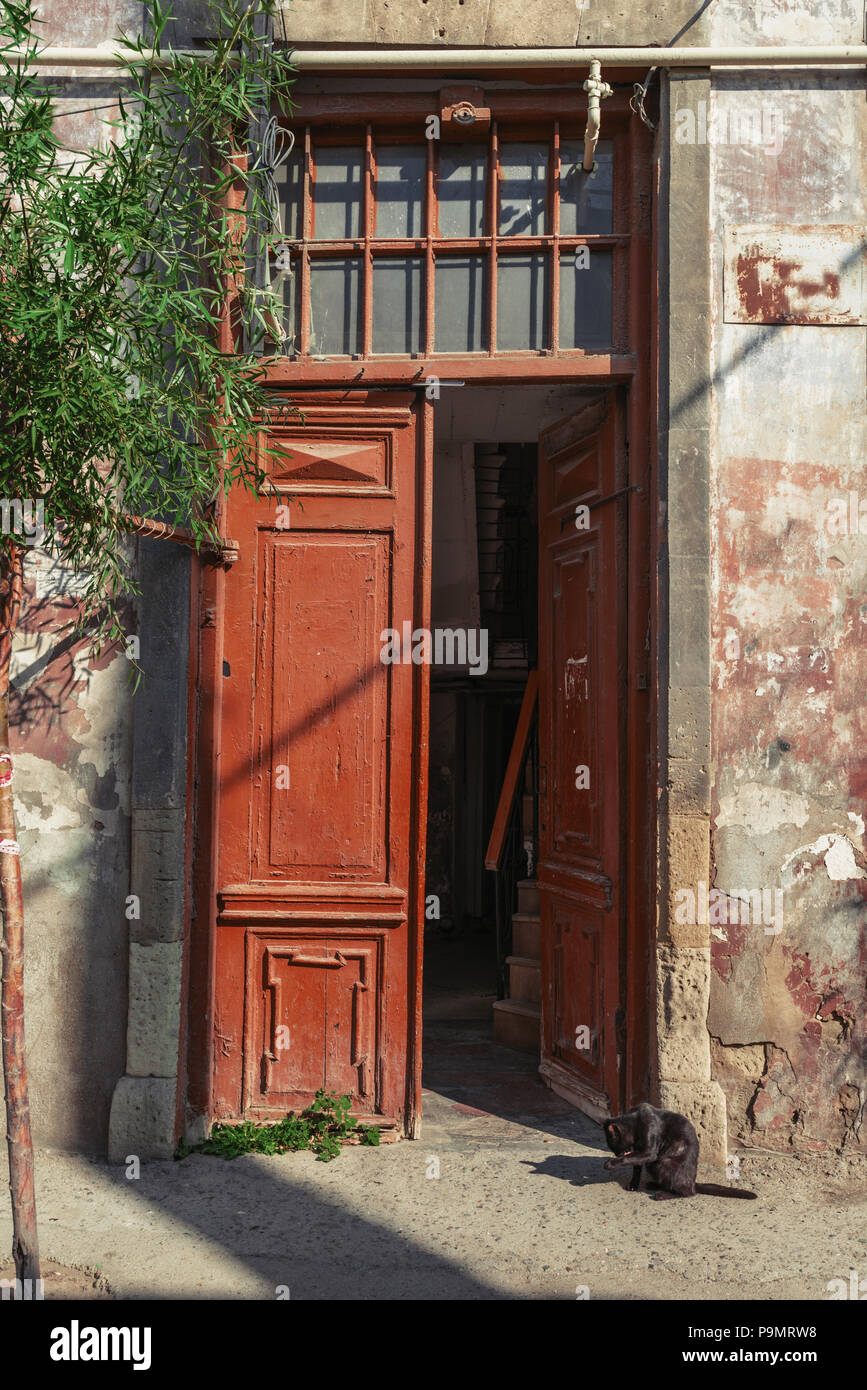Antique Open Door