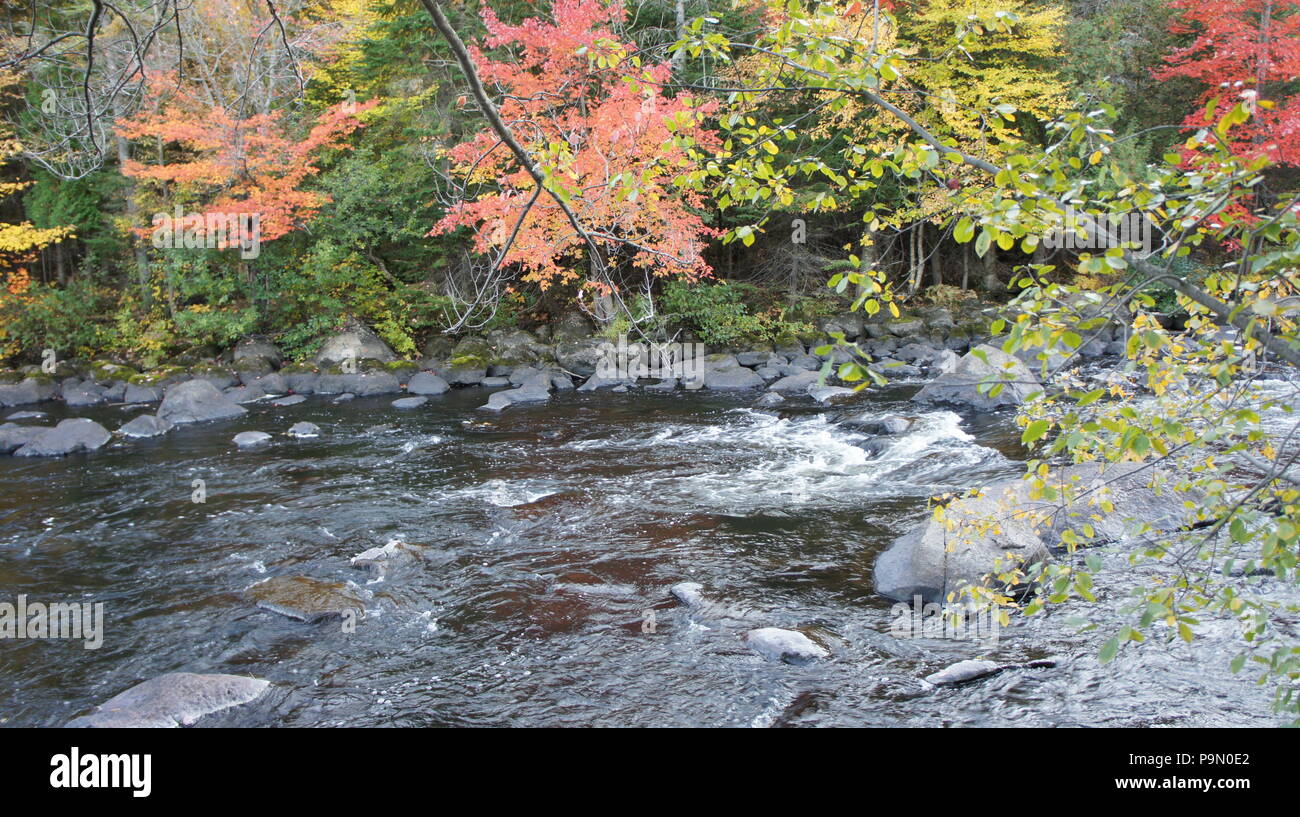 Rock lined stream hi-res stock photography and images - Alamy