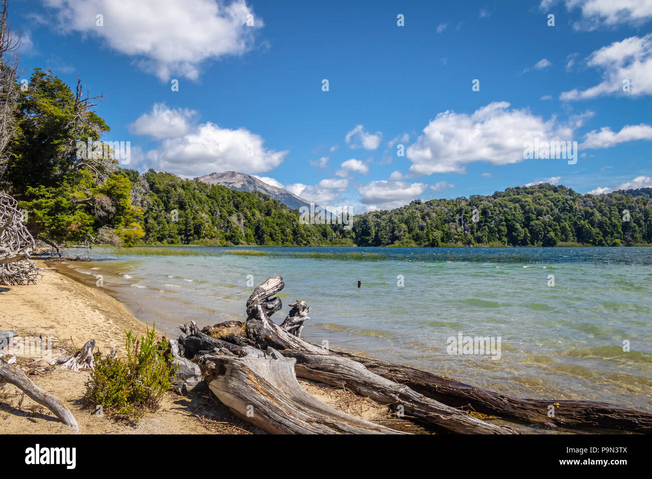 Laguna patagua hi-res stock photography and images - Alamy