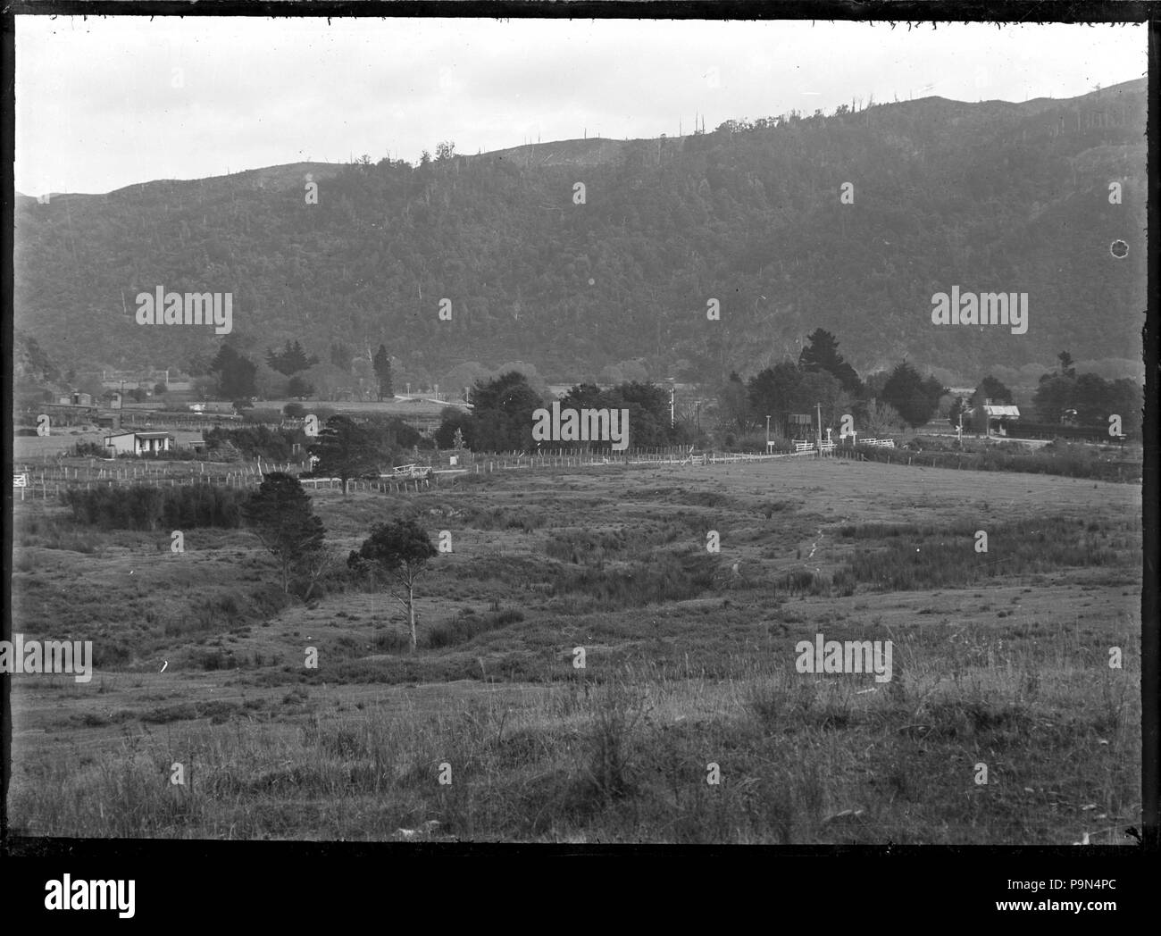 Silverstream silverstream hi-res stock photography and images - Alamy