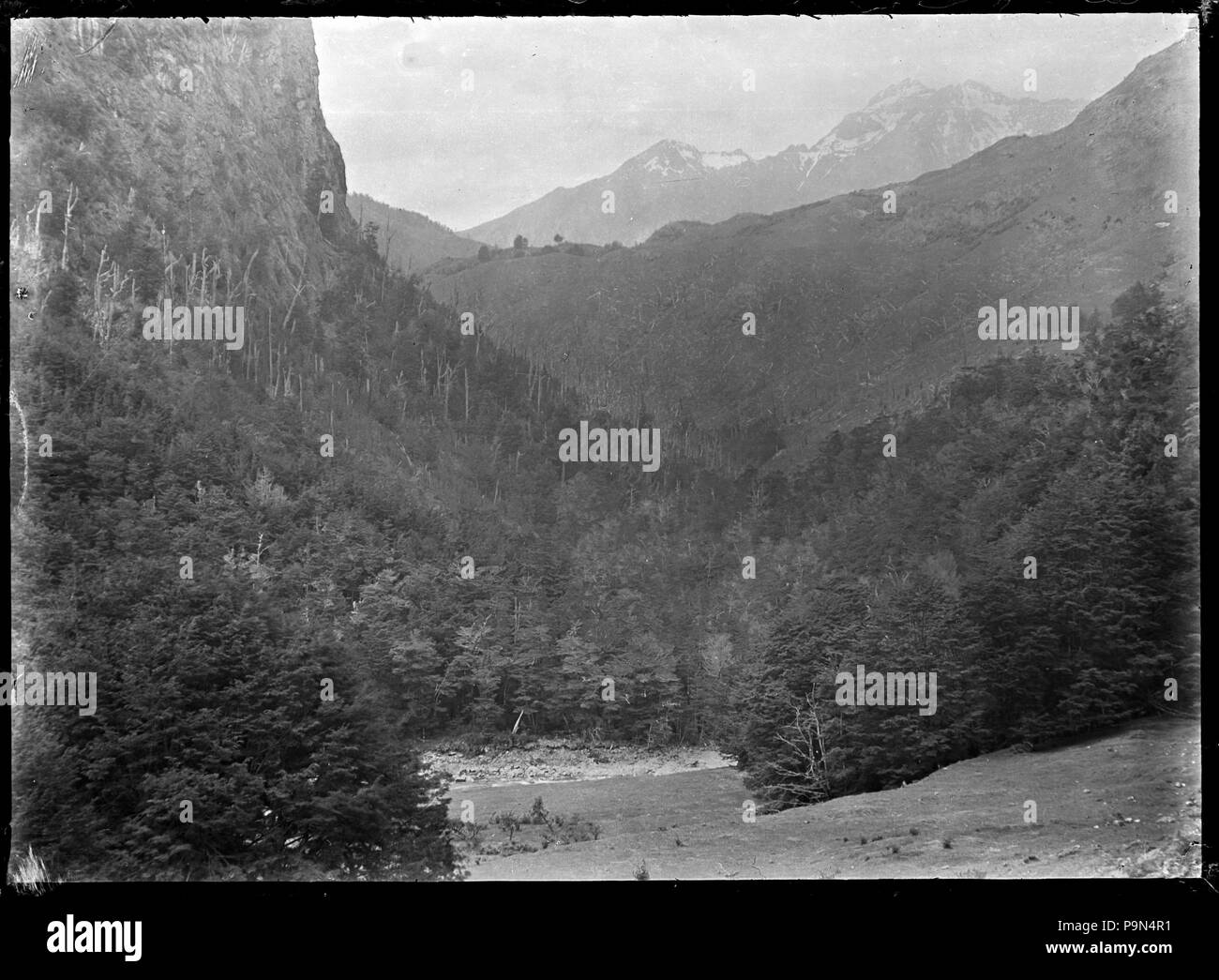 Lake greenstone hi-res stock photography and images - Alamy