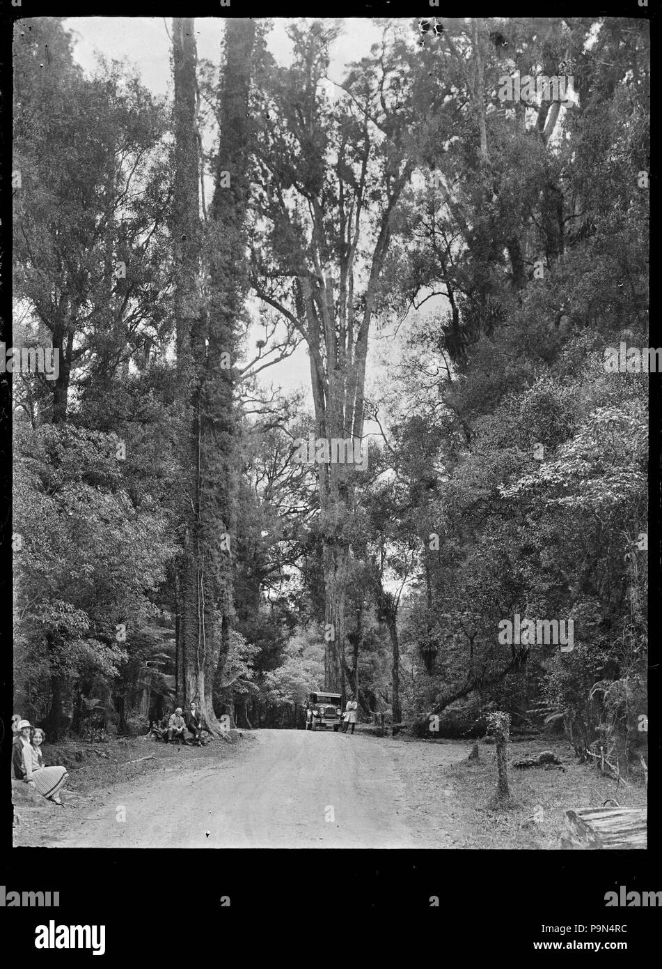 North track Black and White Stock Photos & Images - Alamy