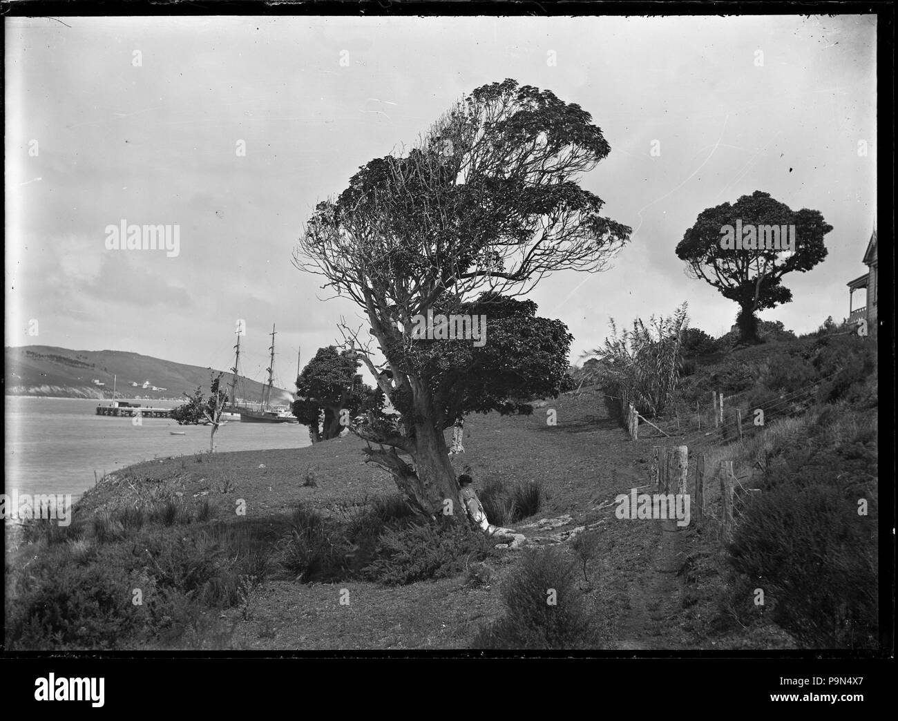 Onerahi hi-res stock photography and images - Alamy
