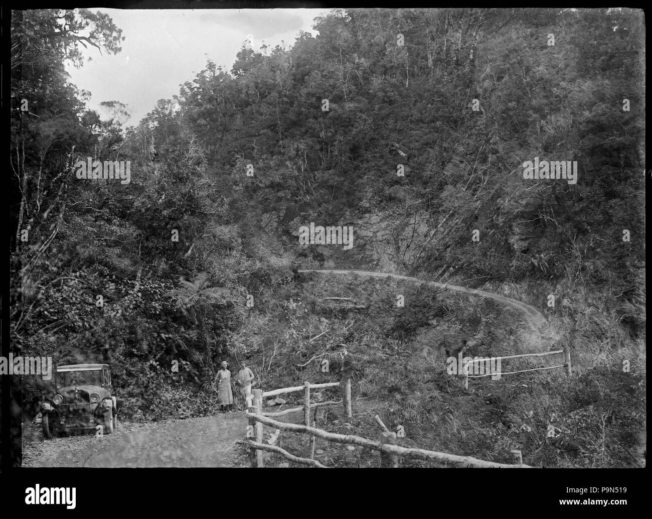 Akatarawa hi-res stock photography and images - Alamy