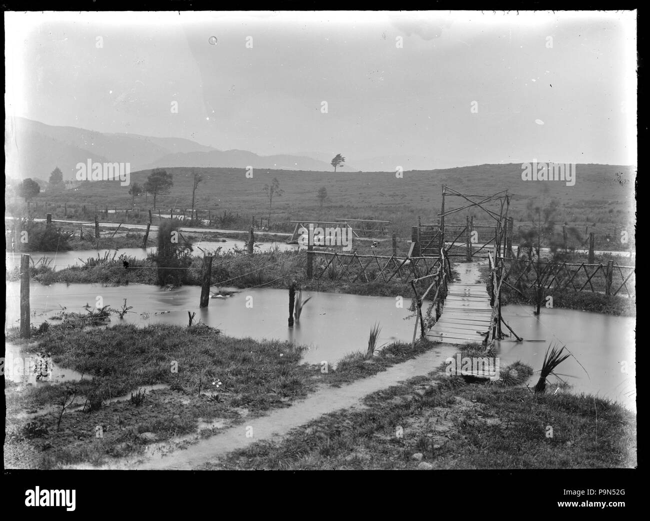 Silverstream Bridge High Resolution Stock Photography and Images - Alamy