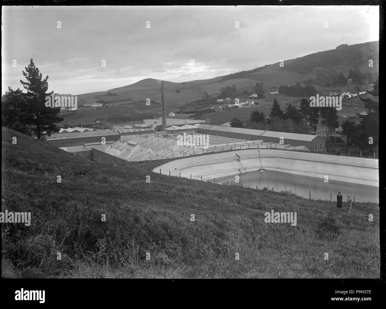 324 View of the Roslyn Woollen Mill, Dunedin. ATLIB 295446 Stock Photo ...