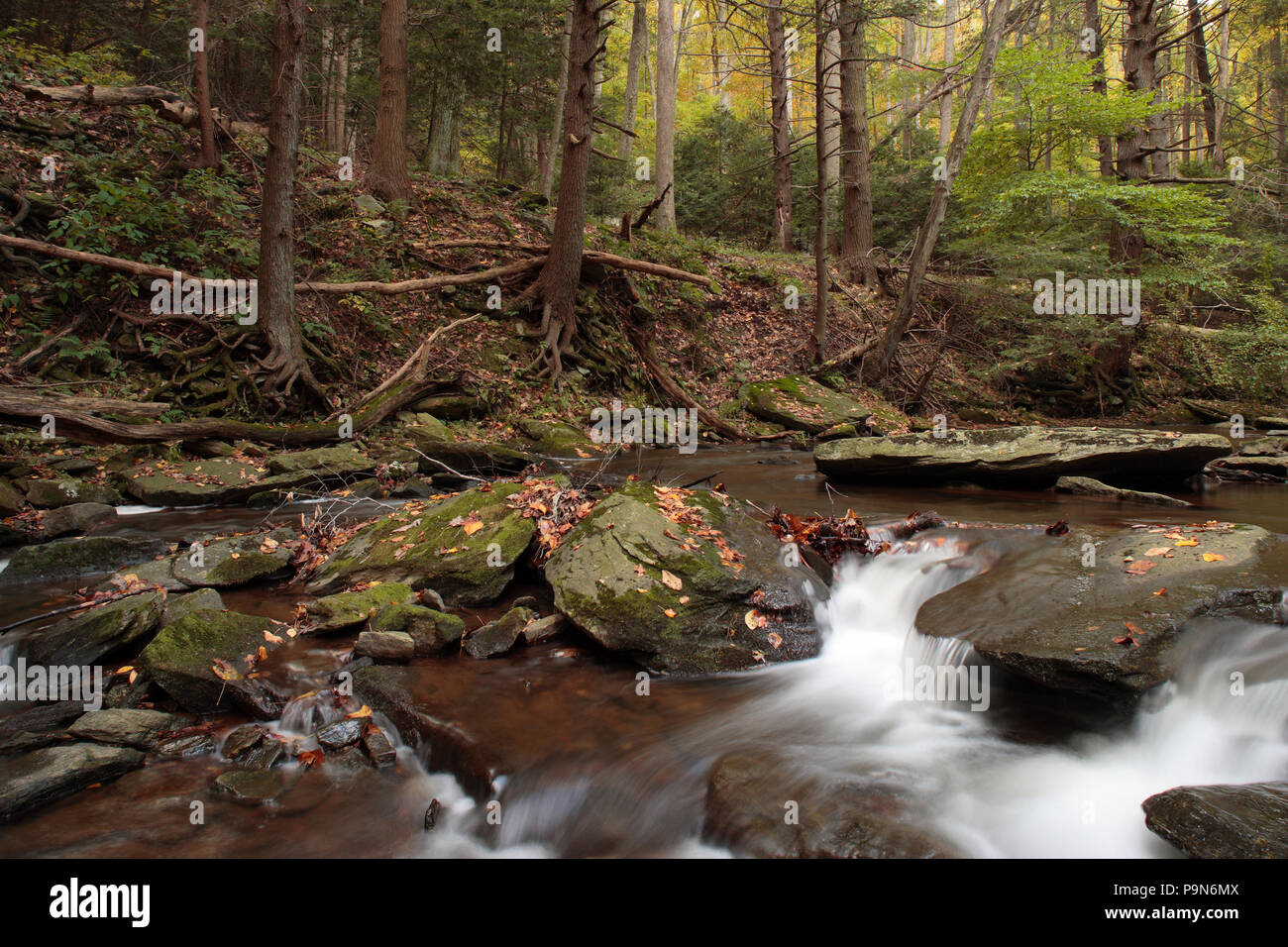 Rushing through hi-res stock photography and images - Alamy