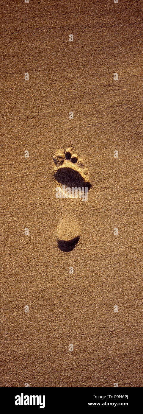 A single human footprint in the sand on a smooth beach at sunset Stock ...