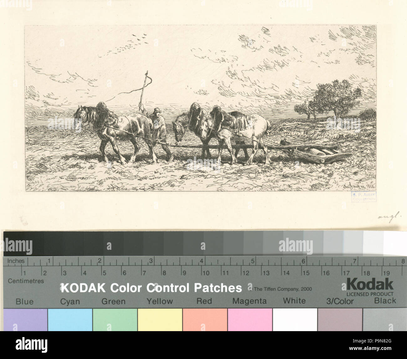 Rouleau hi-res stock photography and images - Alamy