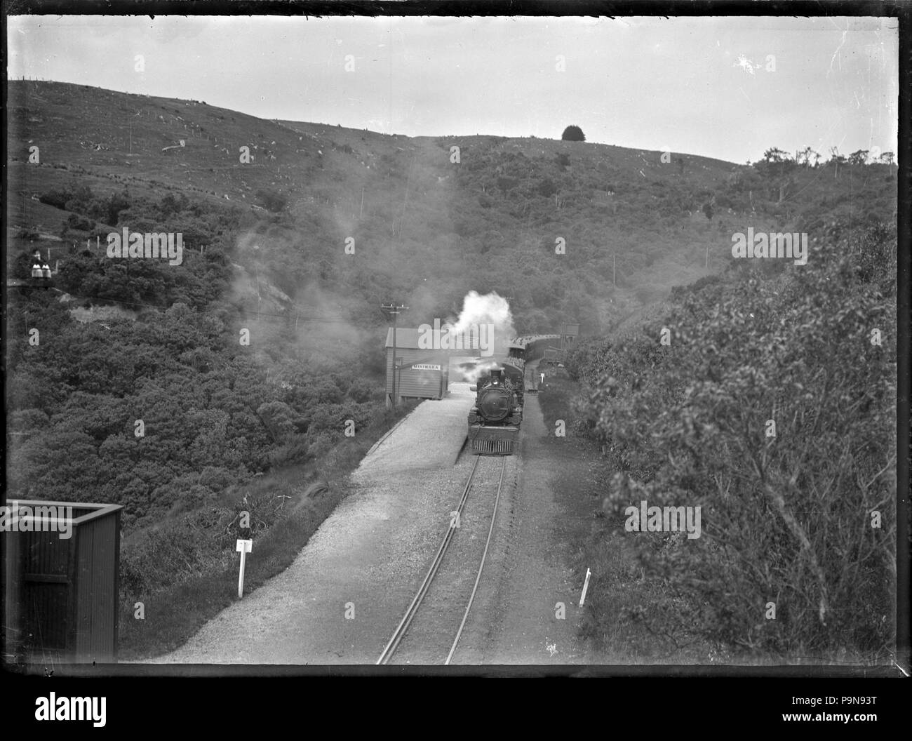 317 Train pulled by a steam locomotive passing Mihiwaka Railway Station ...