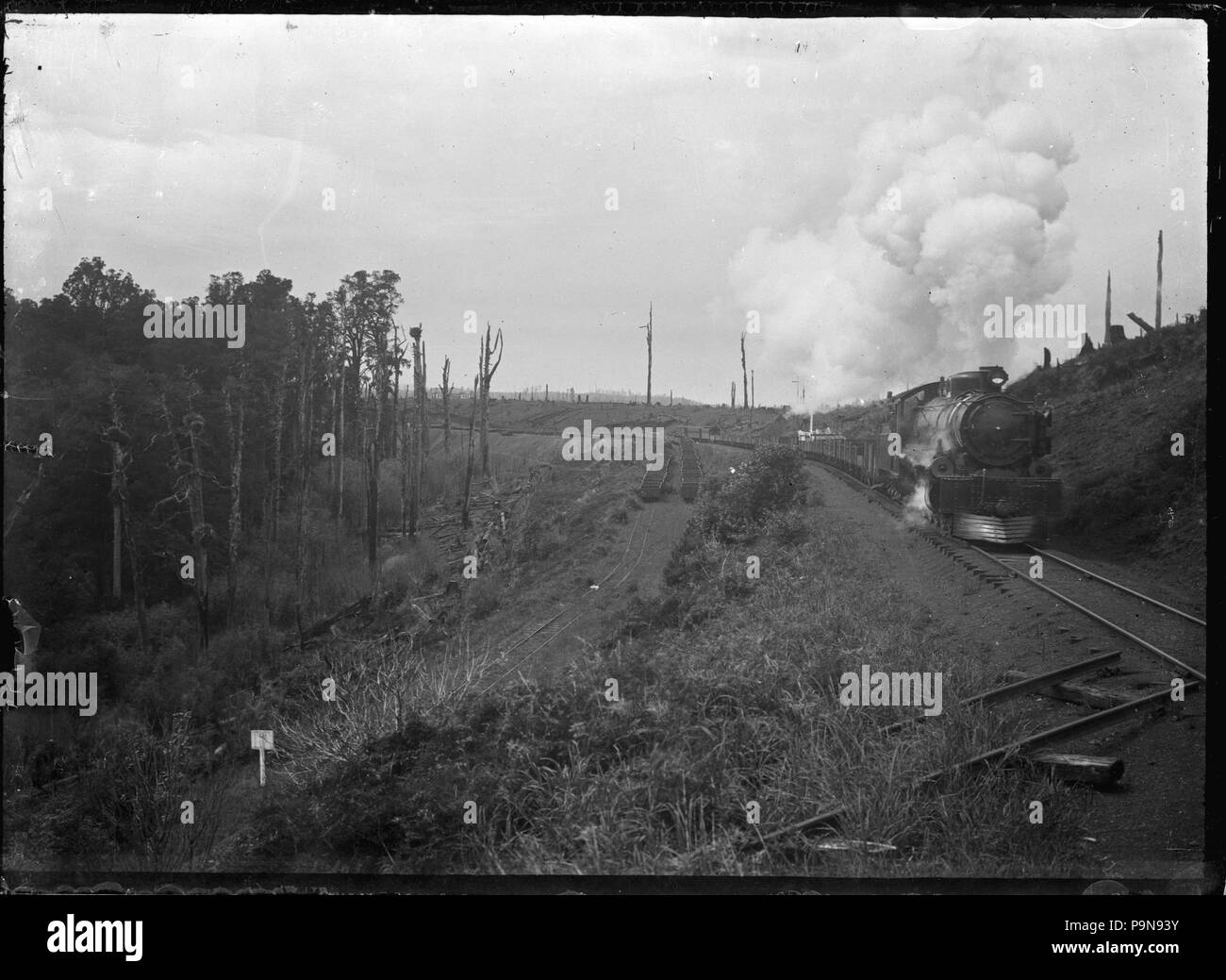 North island main trunk hi-res stock photography and images - Alamy