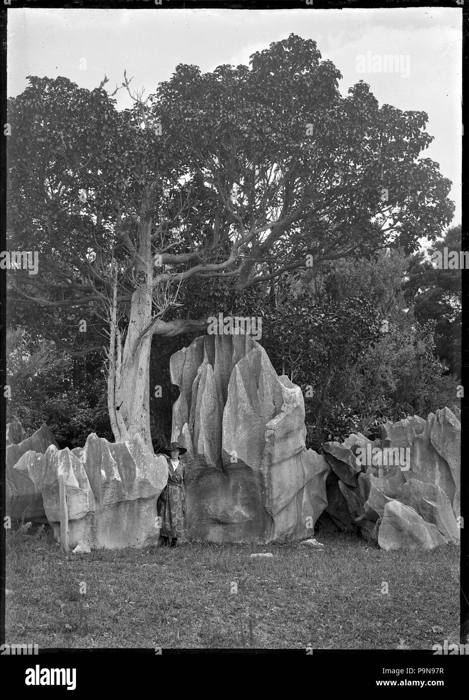 Weathered limestone rock Black and White Stock Photos & Images - Alamy