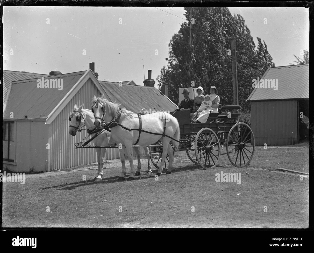 Two horse buggy Black and White Stock Photos & Images - Alamy