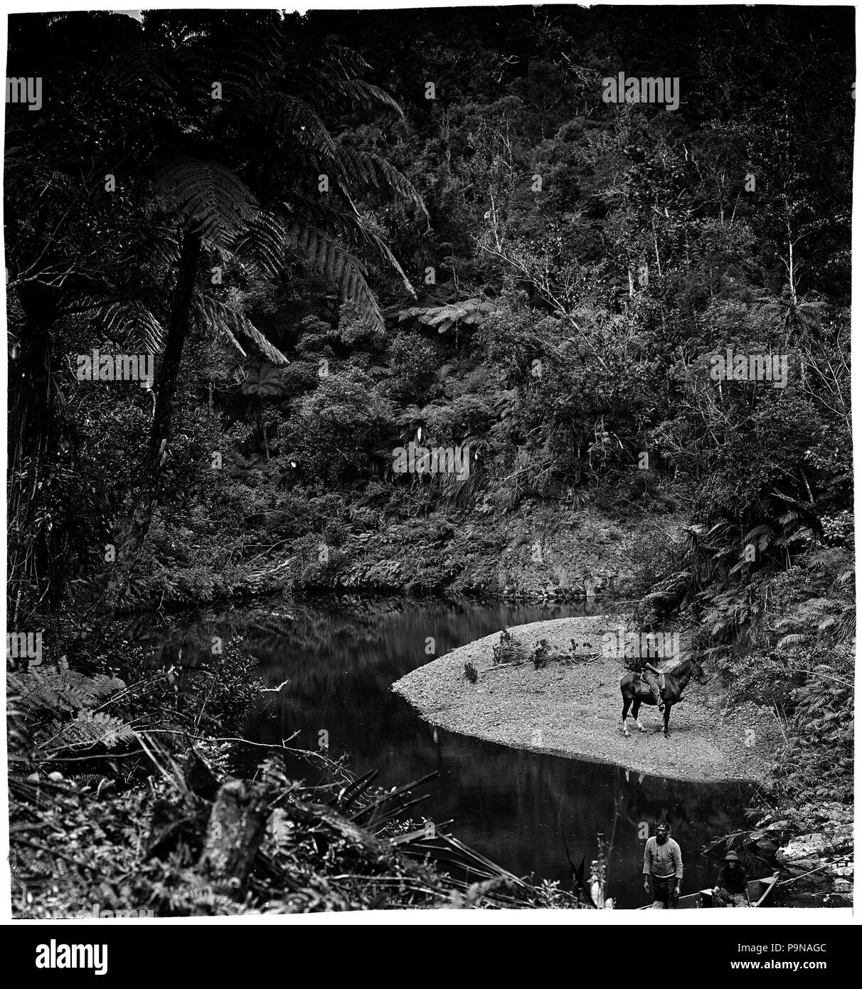 Waipapa river hi-res stock photography and images - Alamy