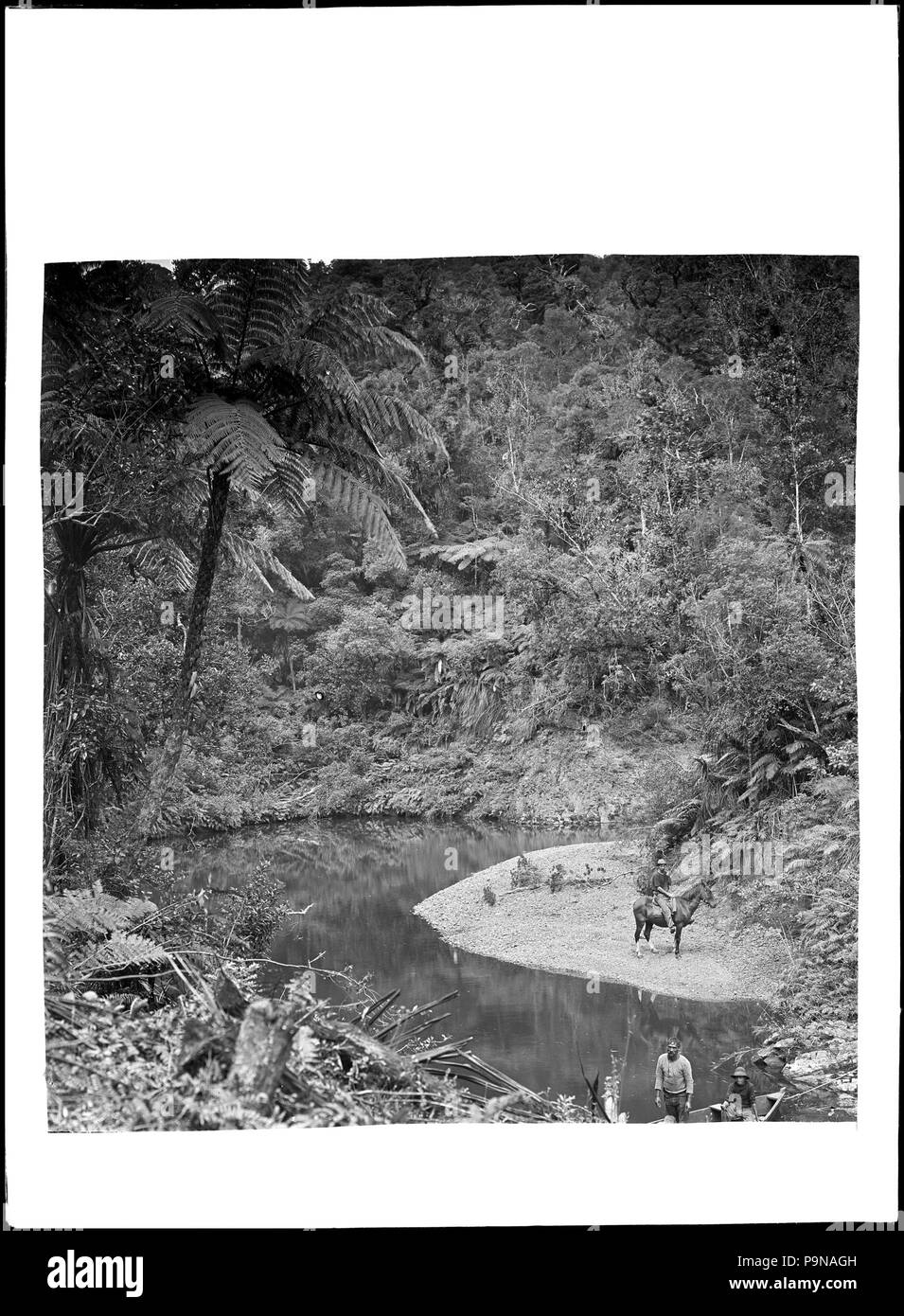 Waipapa river hi-res stock photography and images - Alamy