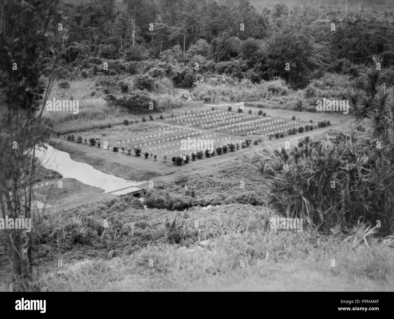 Papua new guinea kokoda track hi-res stock photography and images - Alamy