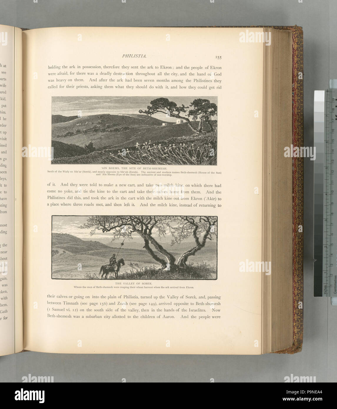 7 'Ain Shems, the site of Beth-Shemesh. South of the Wâdy es Sur'ar ...