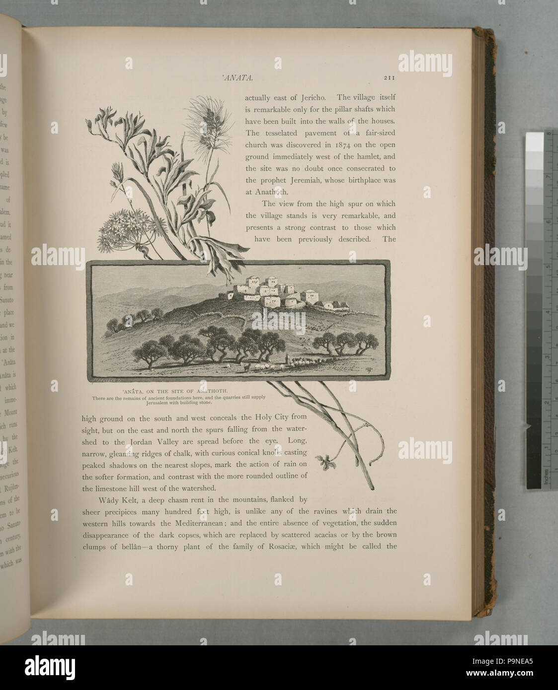 7 'Anâta, on the site of Anathoth. There are the remains of ancient ...