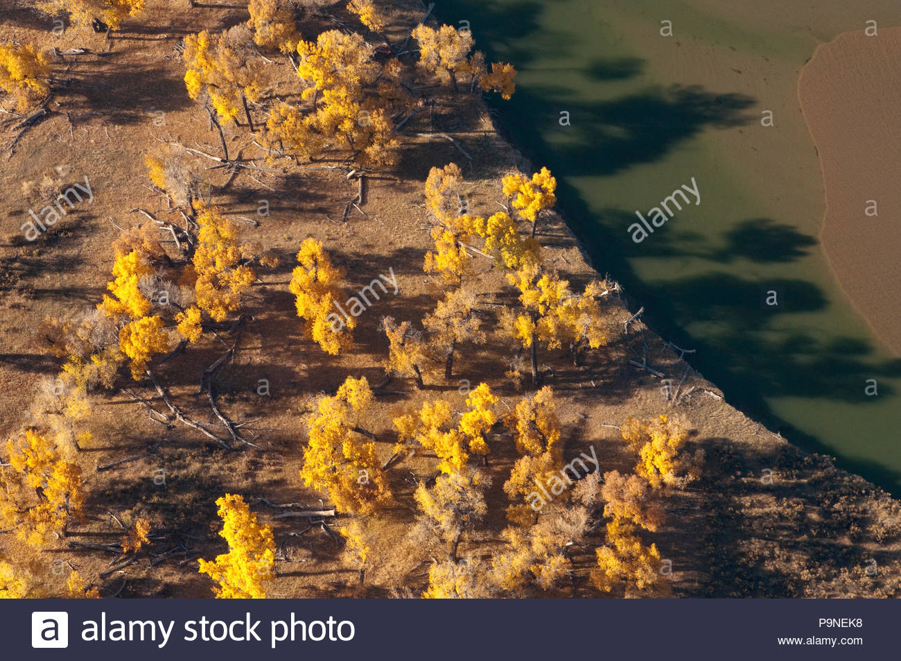 Flaming Gorge Green River High Resolution Stock Photography and Images ...