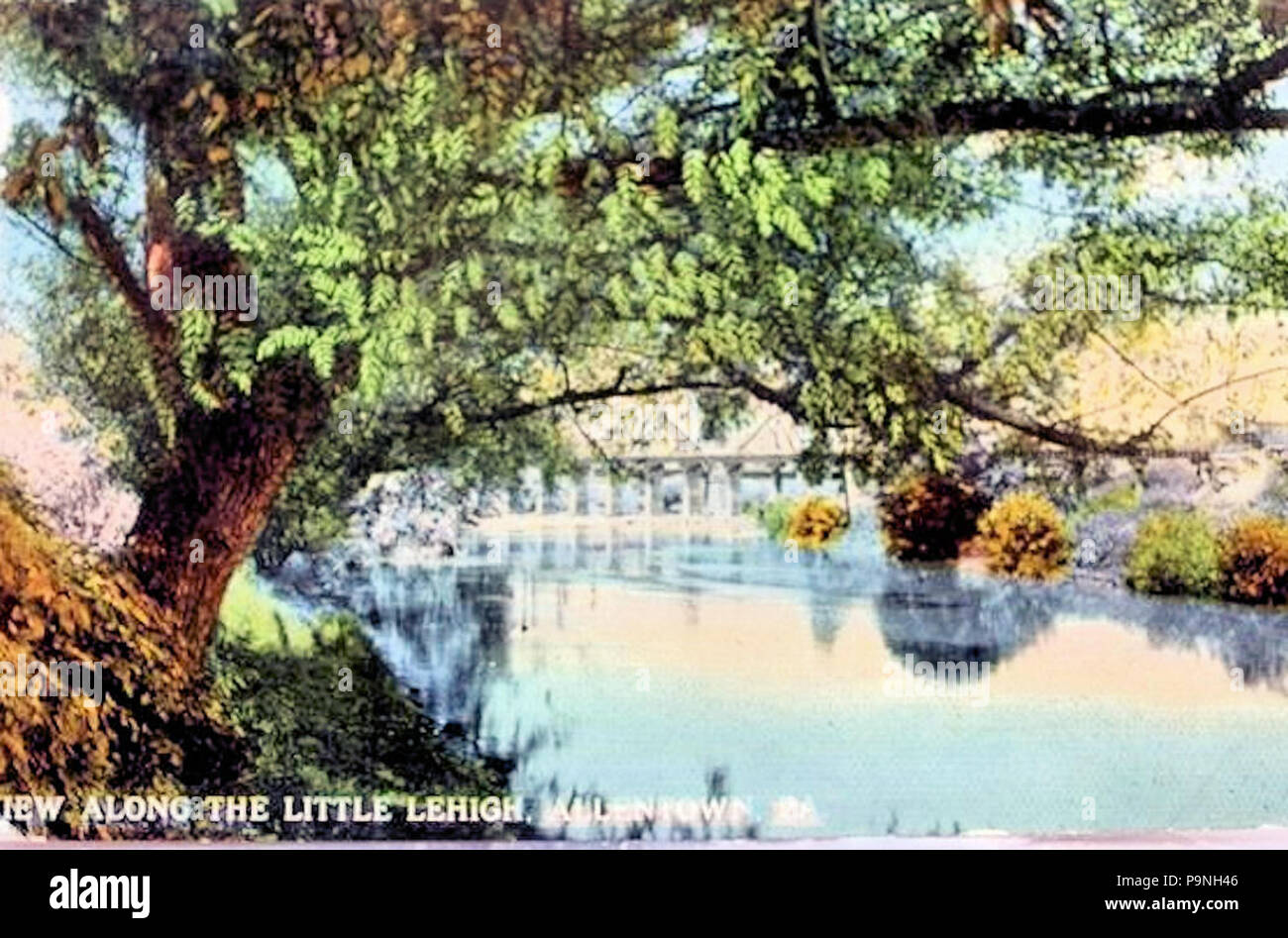 29 1909 - View Along The Little Lehigh Allentown PA Stock Photo - Alamy