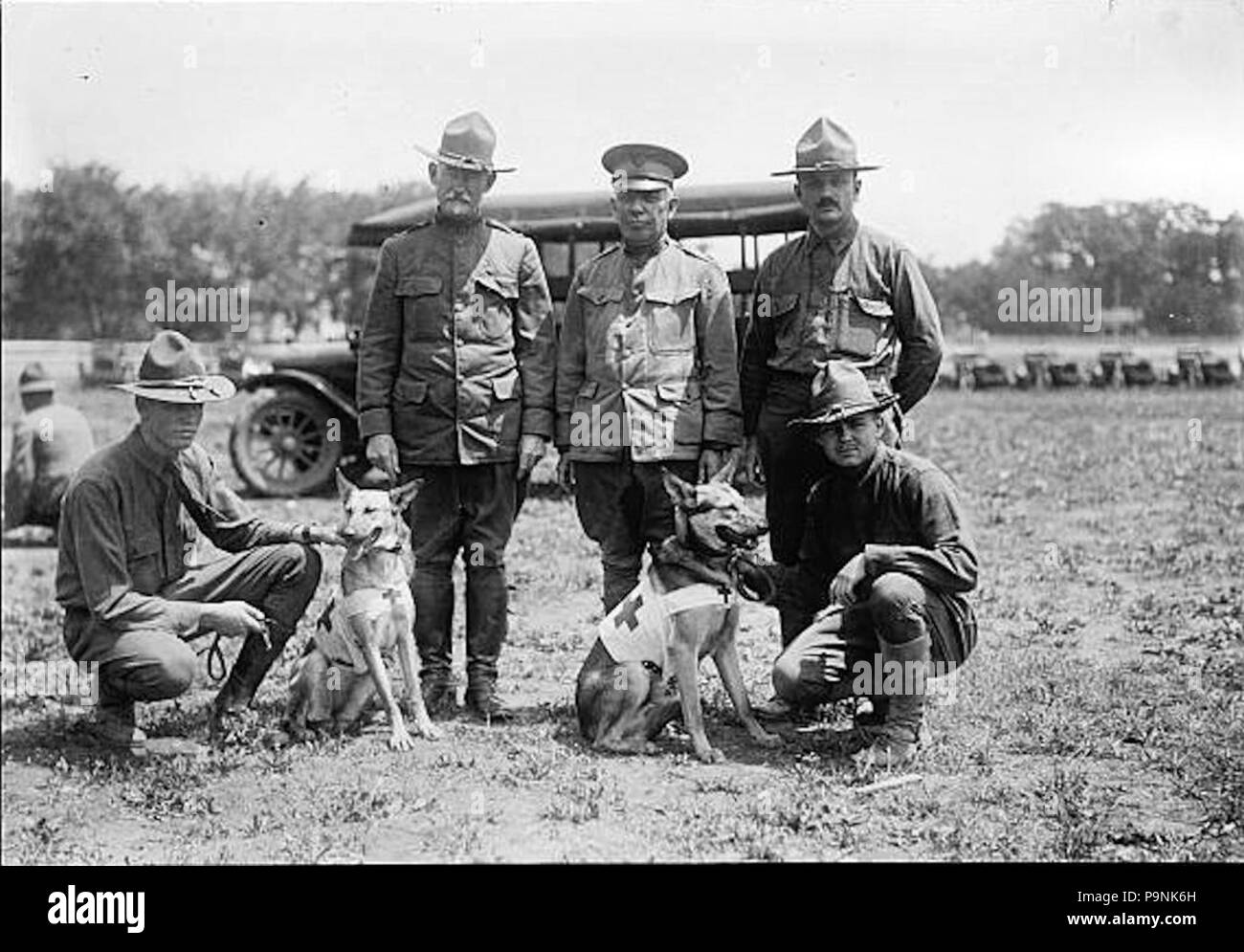 36 1917 - Camp Crane Anbulance Training Photo 2 Allentown PA Stock ...