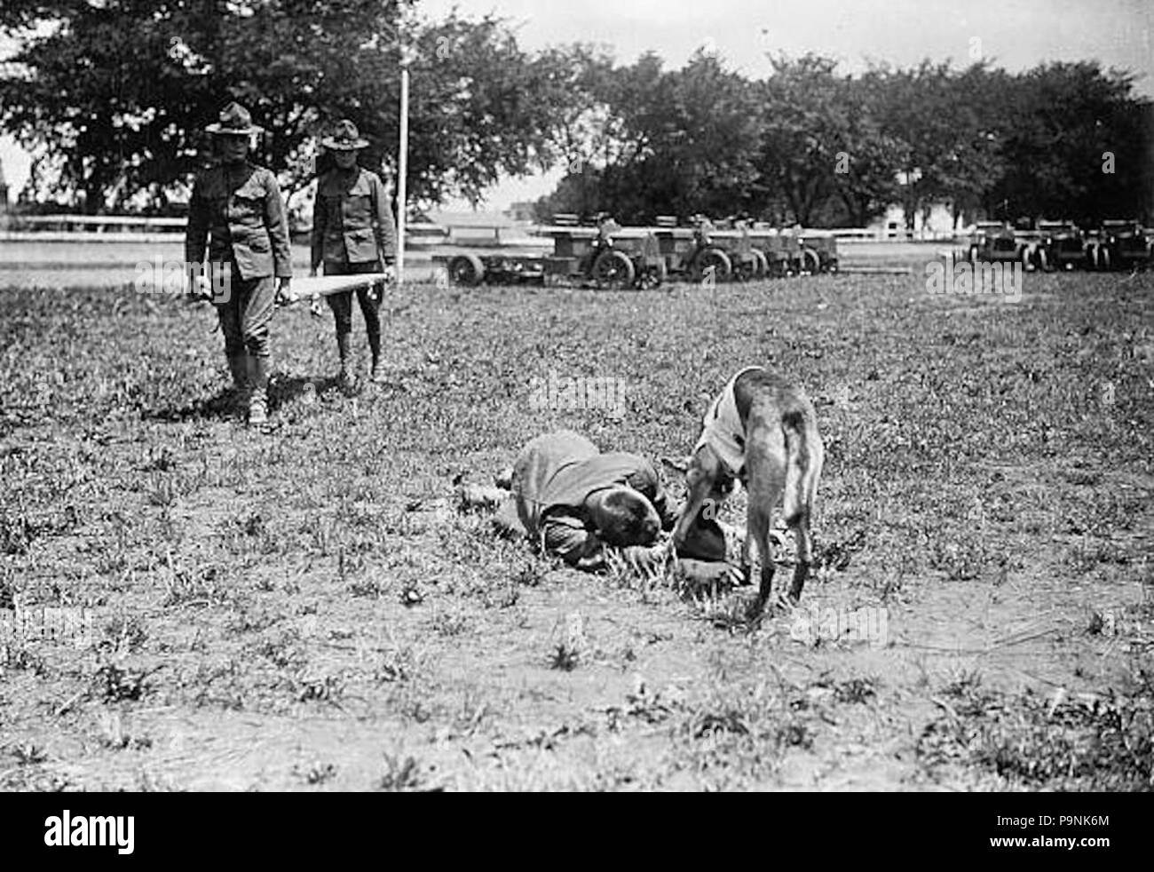 36 1917 - Camp Crane Anbulance Training Photo 5 Allentown PA Stock ...