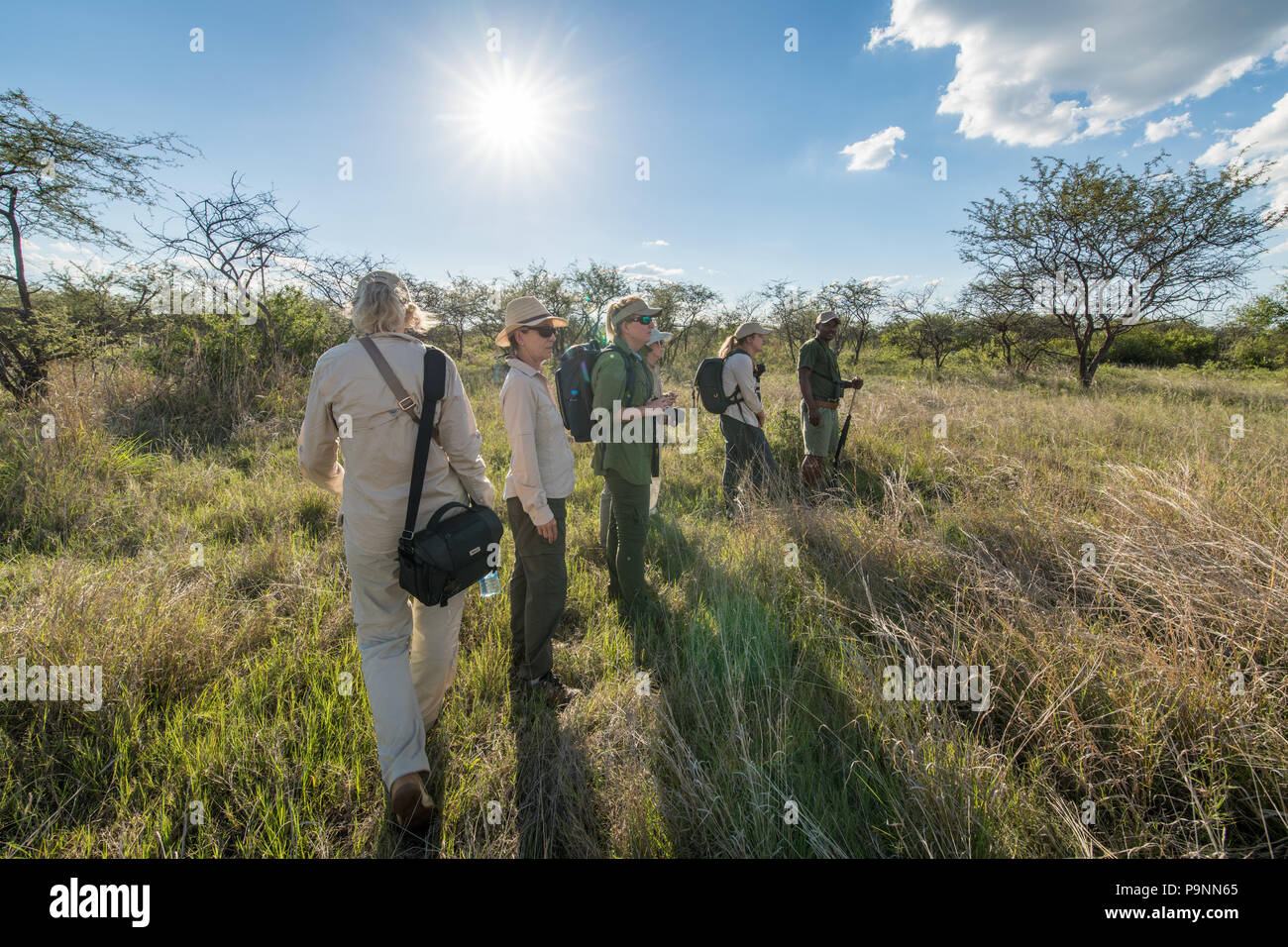 A group of people on a safari follow a guide through the savanna in ...