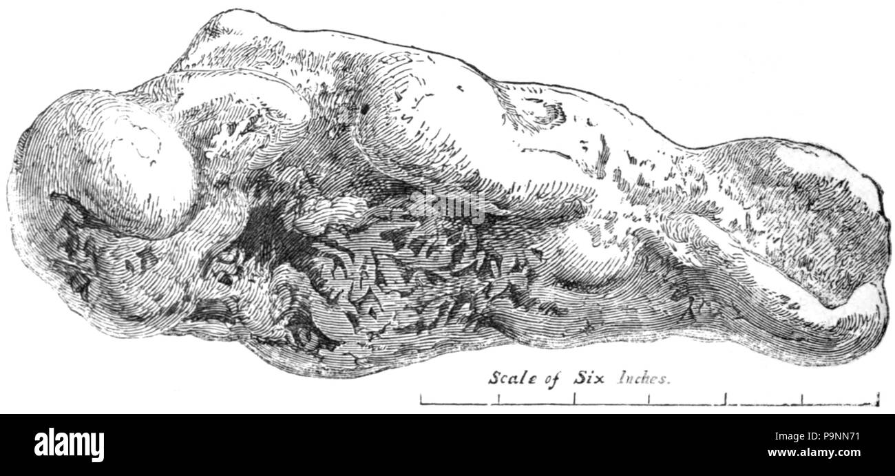 Nugget gold Black and White Stock Photos & Images - Alamy