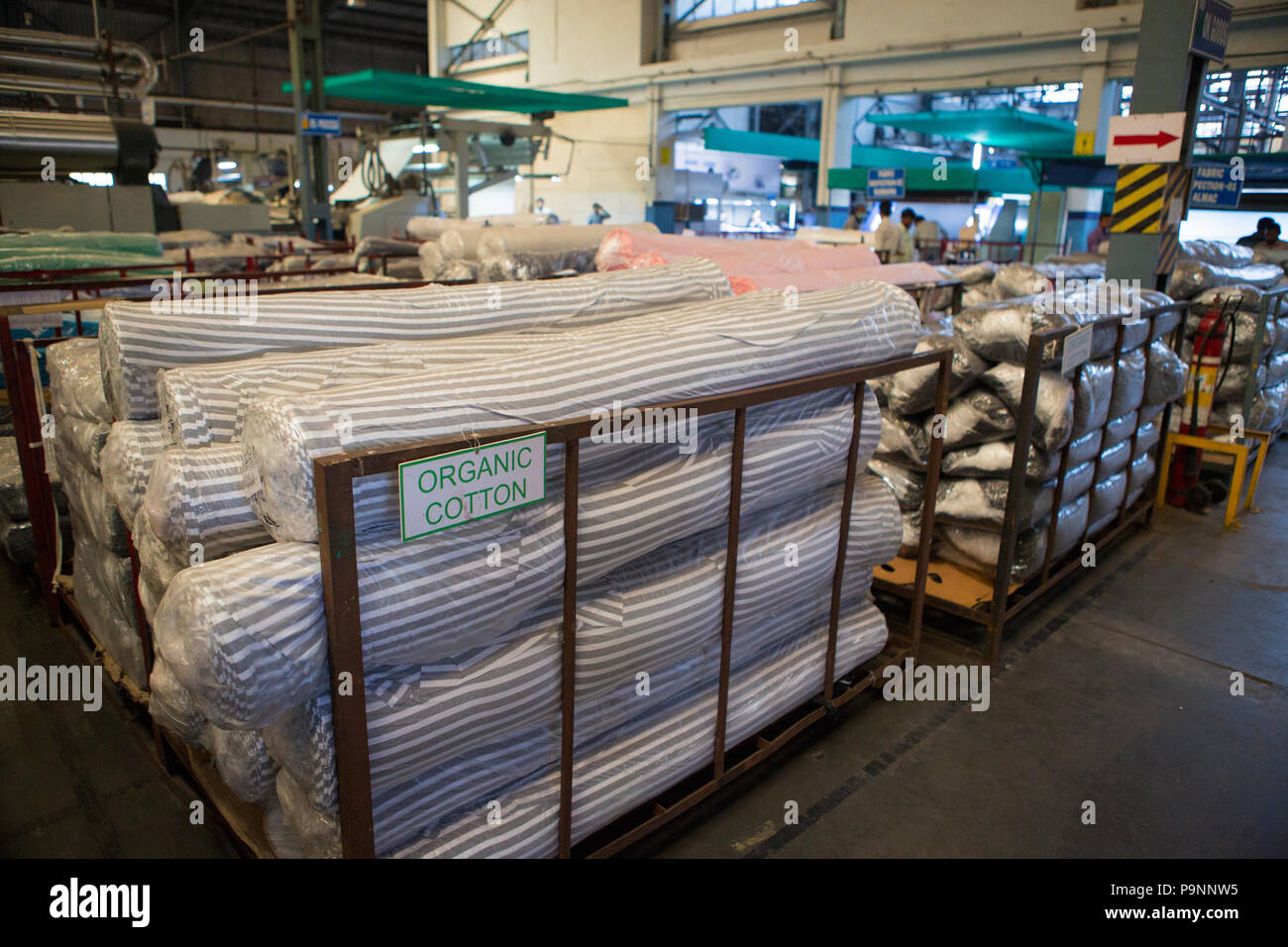 Organic cotton being produced at a garment factory, where organic ...