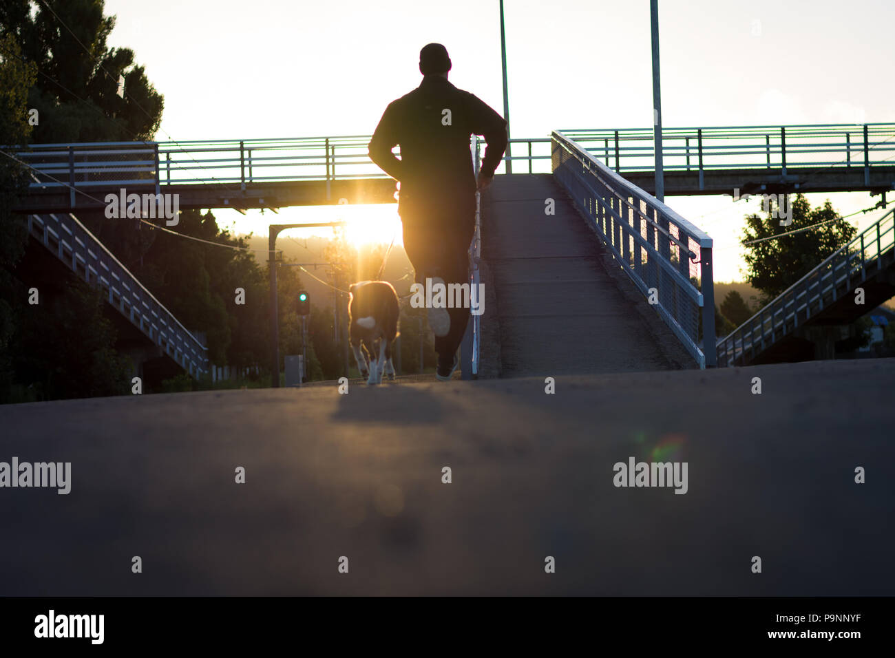 Man running with dog hi-res stock photography and images - Alamy
